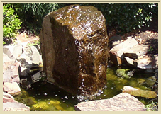 NATIVE GROUNDS LANDSCAPE SERVICES